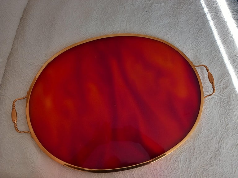 Tray Hollywood Regency Brass Handles and Methacrylate Turtle Shell ...