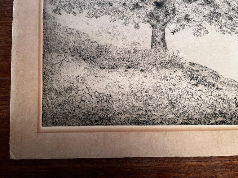 "Tree of Life" Etching by Richard Sloat Dated 1972 For Sale at 1stDibs