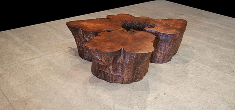 Organic Black Walnut Tree Stump Low Table with Bark For Sale at 1stDibs