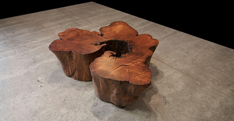 Organic Black Walnut Tree Stump Low Table with Bark For Sale at 1stDibs