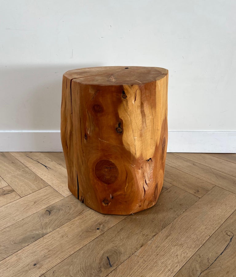 Tree Stump Side Table, 21st Century For Sale at 1stDibs
