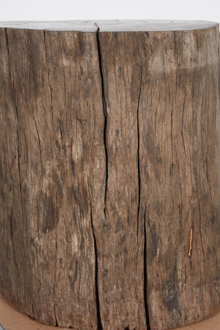 Tree Stump Stool, Side Table at 1stDibs | tree stump stools, wooden ...