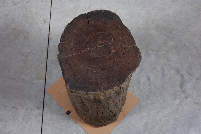 Tree Stump Stool, Side Table at 1stDibs | tree stump stools, wooden ...