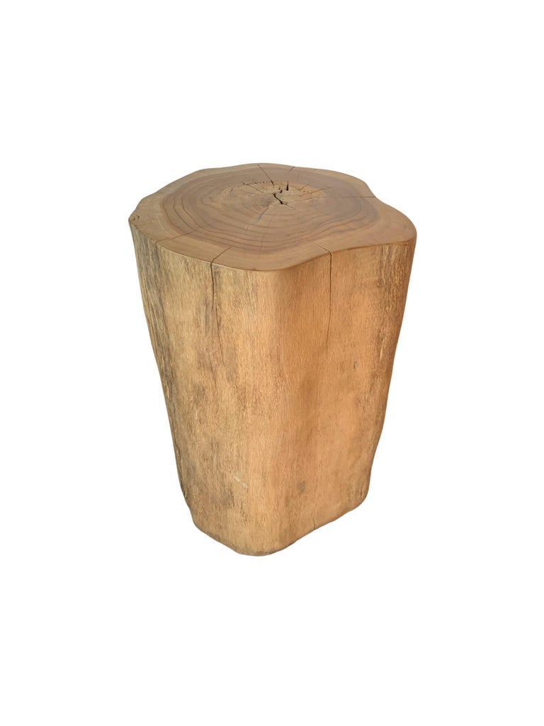 Tree Trunk Side Table Solid Teak Wood Natural Finish Modern Organic For ...