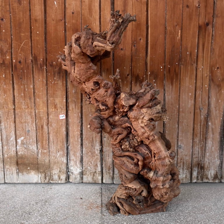 Treebeard Natural Wood Sculpture For Sale at 1stdibs