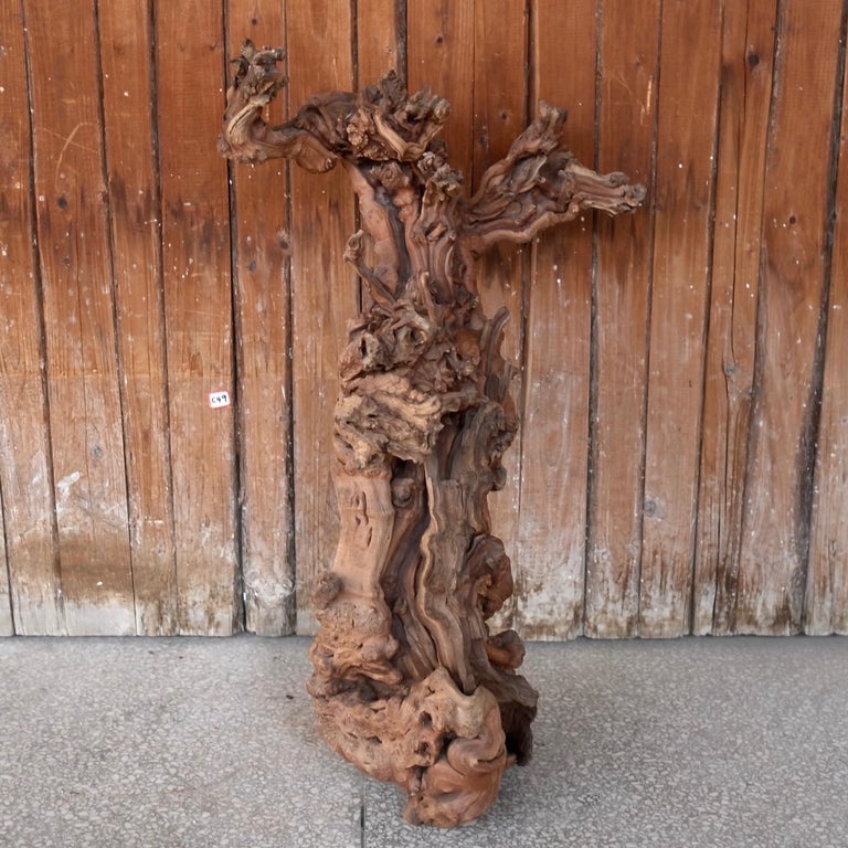 Treebeard Natural Wood Sculpture For Sale at 1stdibs