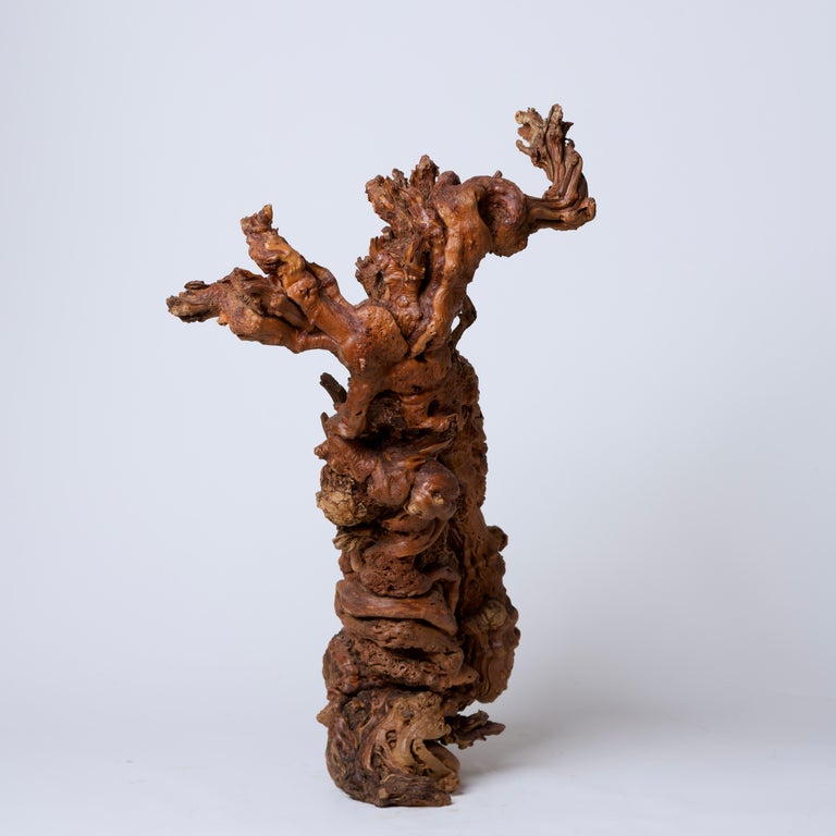 Treebeard Natural Wood Sculpture at 1stDibs | natural wood art, raw ...