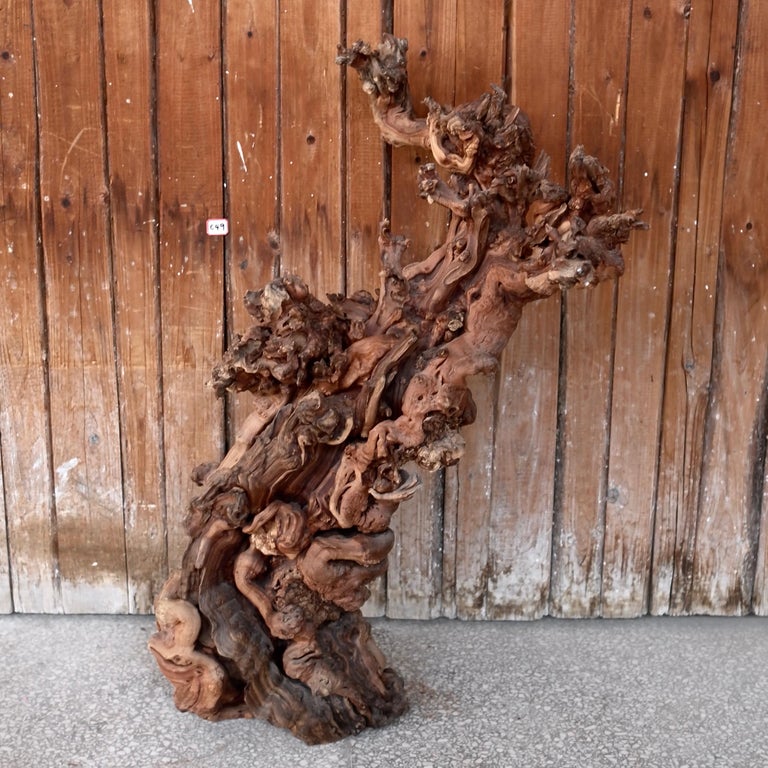 Treebeard Natural Wood Sculpture For Sale at 1stdibs