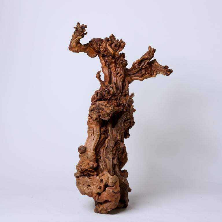 Treebeard Natural Wood Sculpture at 1stDibs | natural wood art, raw ...