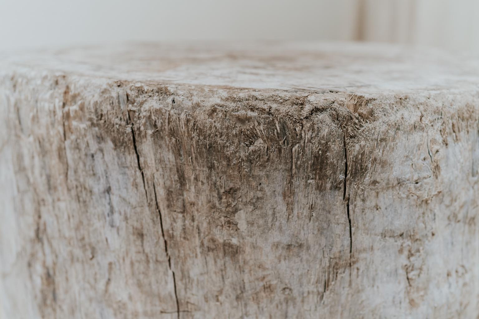 Treetrunk or Stump Table on Wheels at 1stDibs | stump furniture for sale