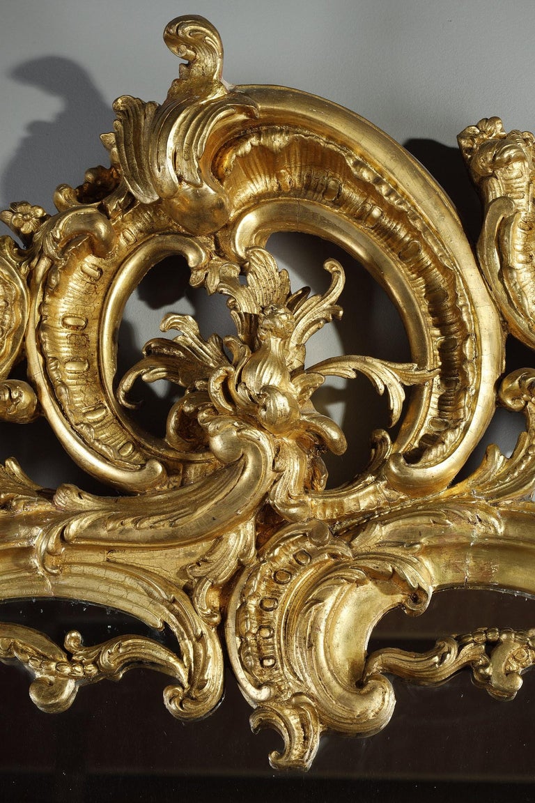 Very large Louis XV Style mirror with Rocaille decoration For Sale at ...