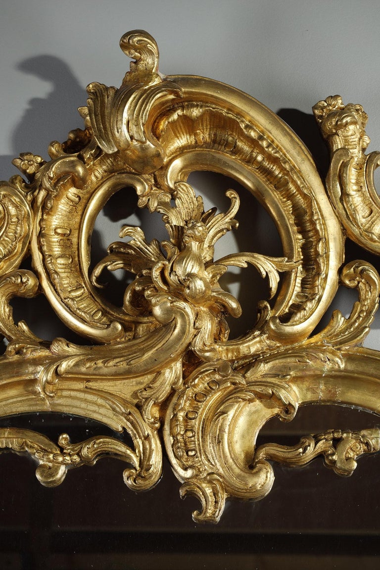 Very large Louis XV Style mirror with Rocaille decoration For Sale at ...