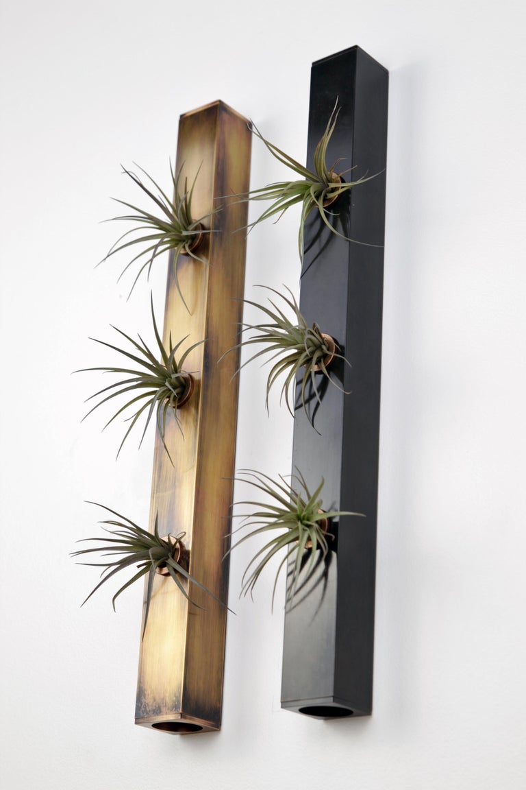 Trio Air Plant Holder, Hanging Air Planter in Blackened Brass, Limited ...