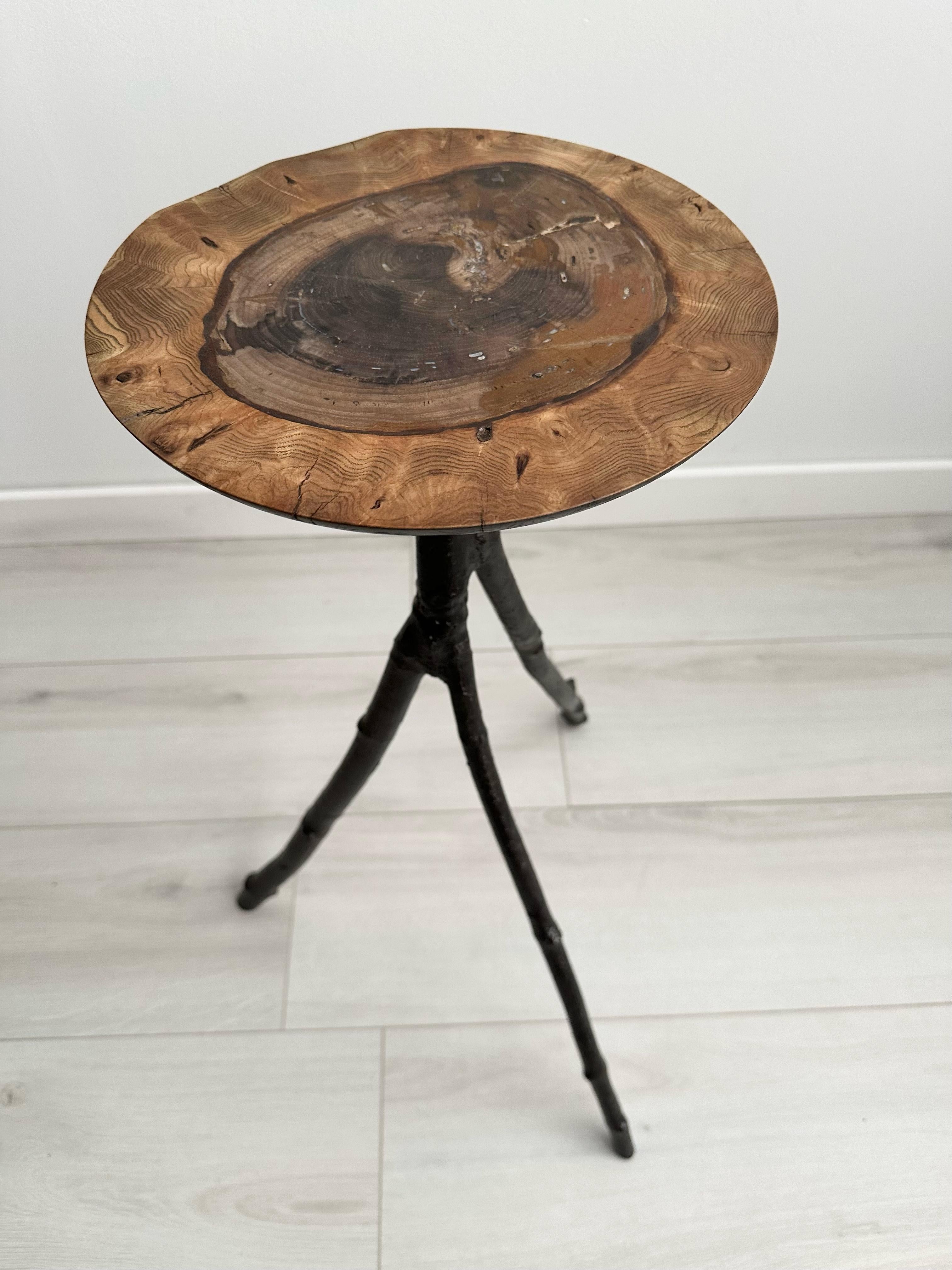 Tripod Table Handcrafted of Petrified Wood, Cast Bronze, and Burl Ash For Sale at 1stDibs