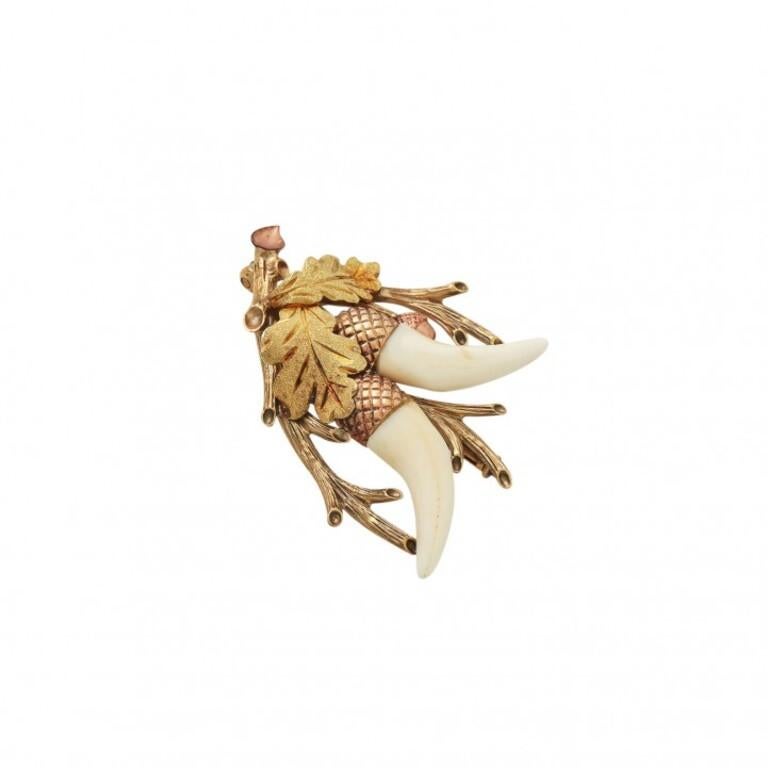 Trophy Brooch with Fox Teeth For Sale at 1stDibs