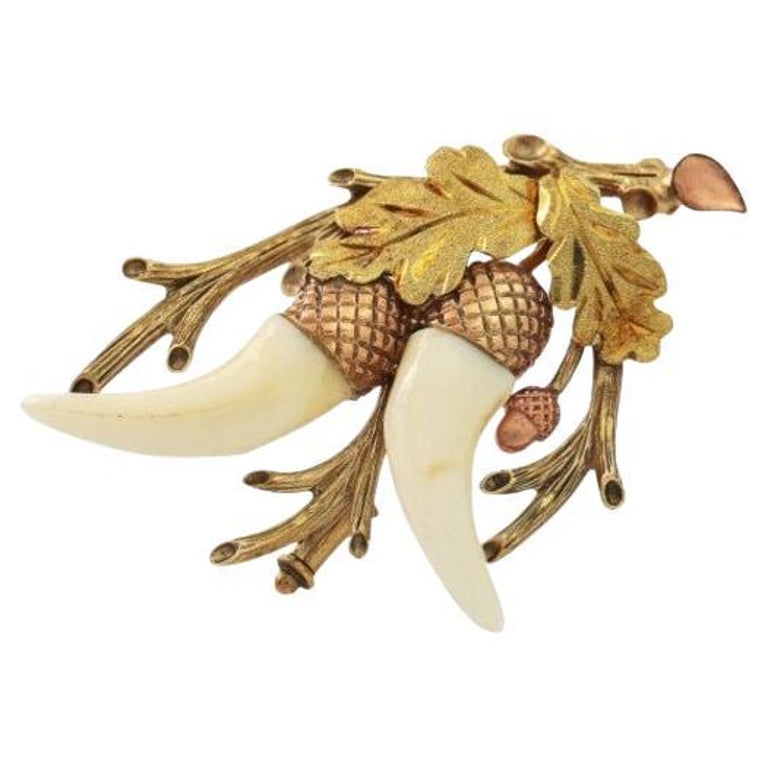Trophy Brooch with Fox Teeth For Sale at 1stDibs