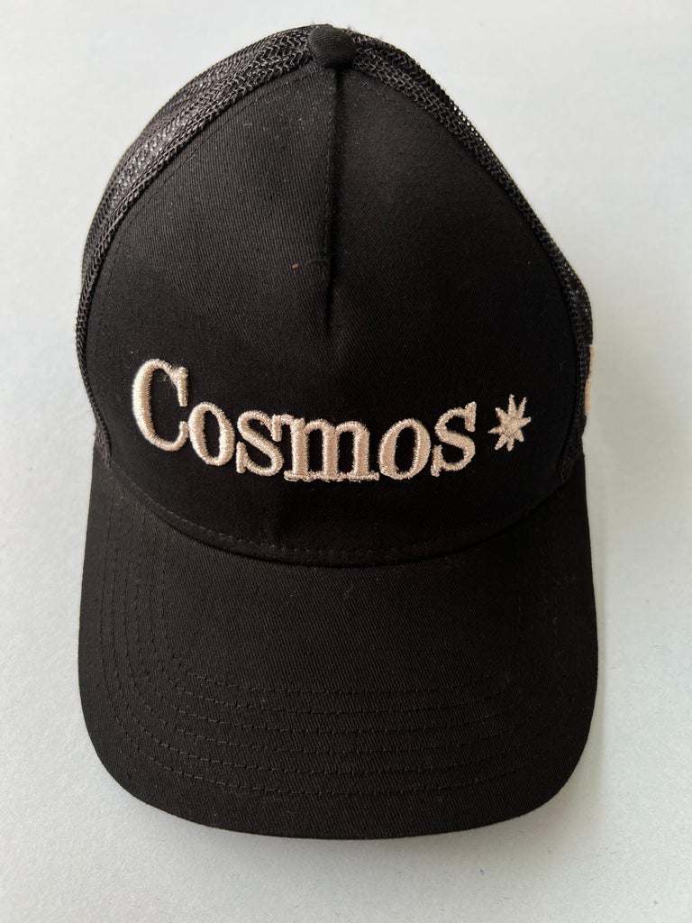 Trucker Hat Black Cosmos Silver Lurex Embroidery J Dauphin For Sale at ...