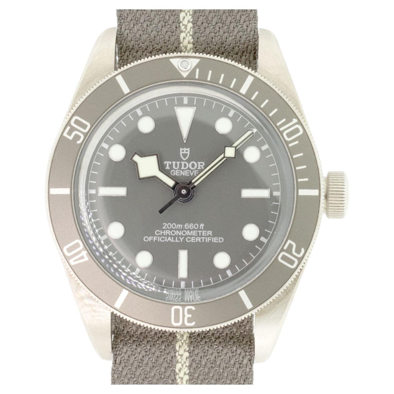 Tudor Black Bay 58 925 Silver Green Dial Watch For Sale at 1stDibs ...