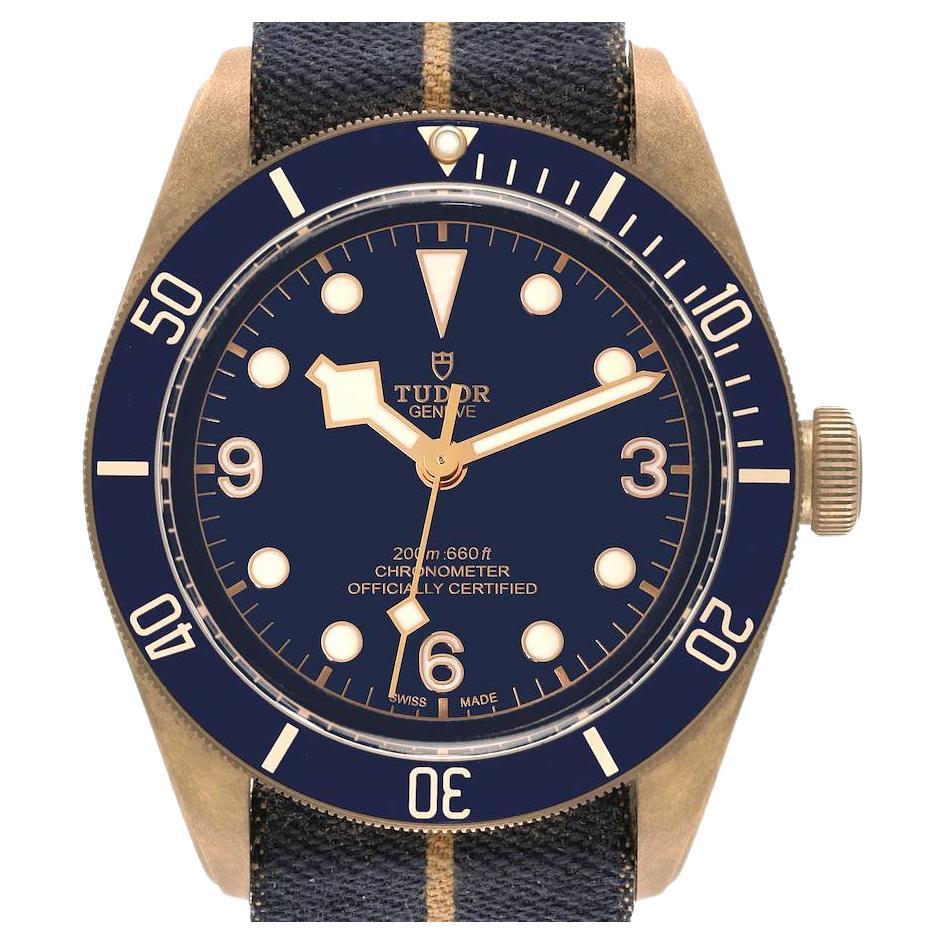 Tudor Pelagos Blue Dial Automatic Titanium Men's Watch 25600 Box Papers ...
