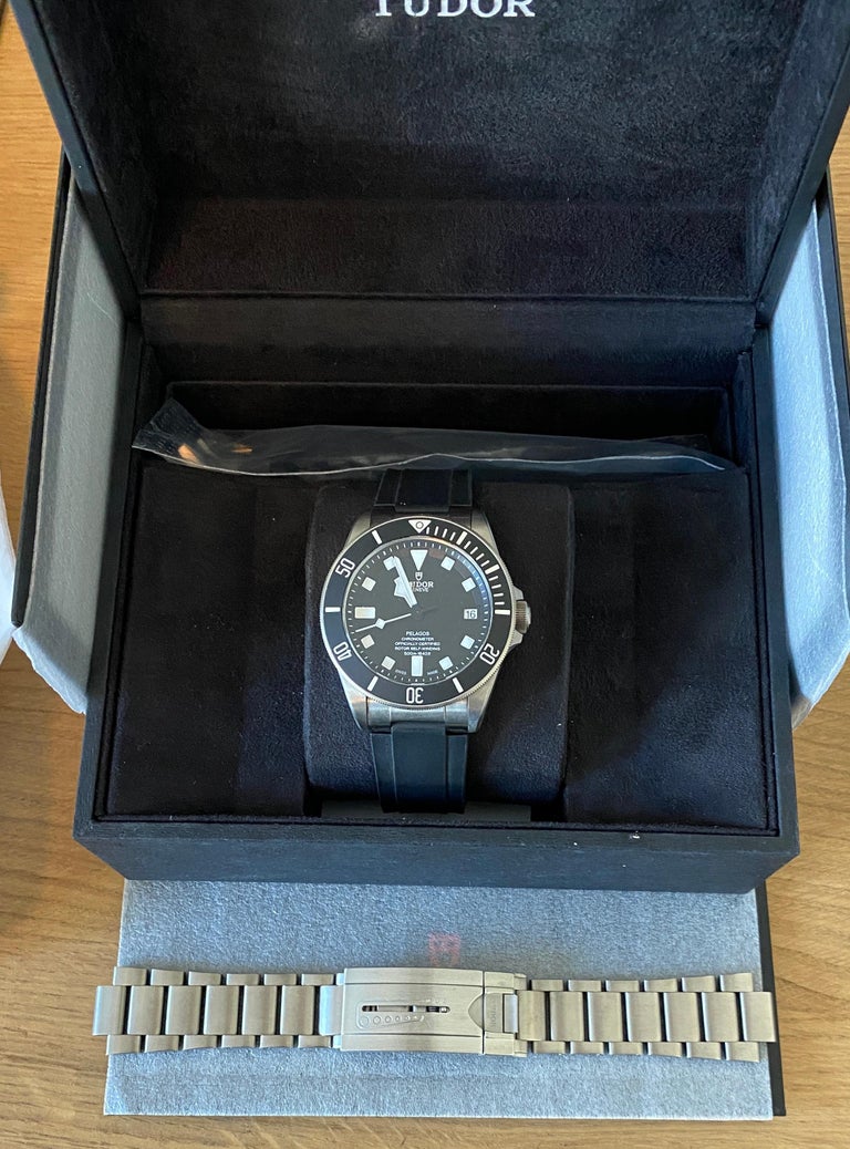 Tudor Pelagos Titanium 25600T at 1stDibs