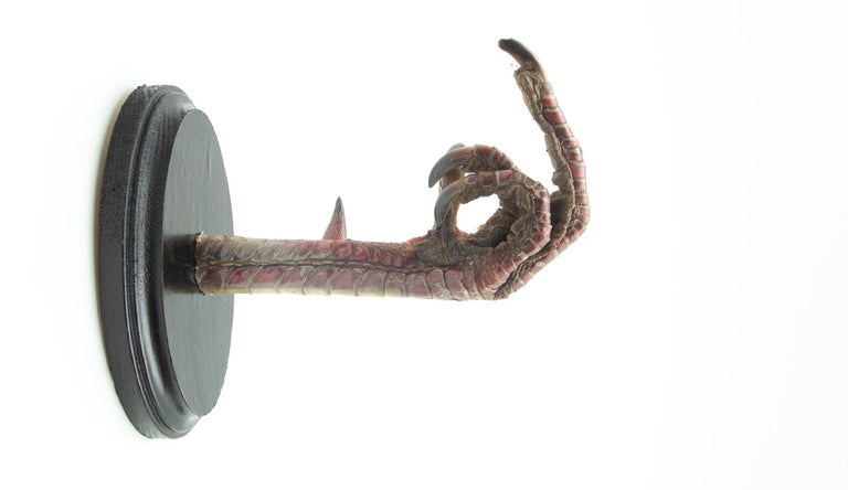 Turkey Foot Giving the Finger at 1stDibs