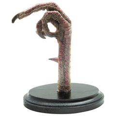 Turkey Foot Giving the Finger at 1stDibs | turkey foot middle finger ...