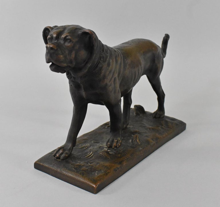 Turn of the Century Cast Bronze Mastiff Dog Statue Standing at 1stDibs ...