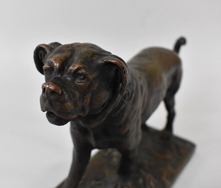 Turn of the Century Cast Bronze Mastiff Dog Statue Standing at 1stDibs ...