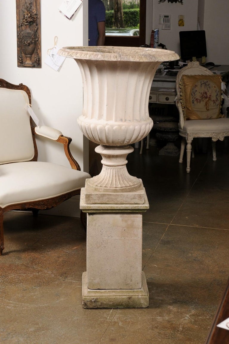 Turn of the Century Italian Campania Urn with Gadroon Motifs on Tall ...