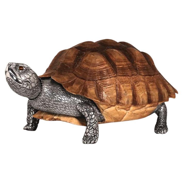 Giant Antique Turtle Carapace or Shell at 1stDibs