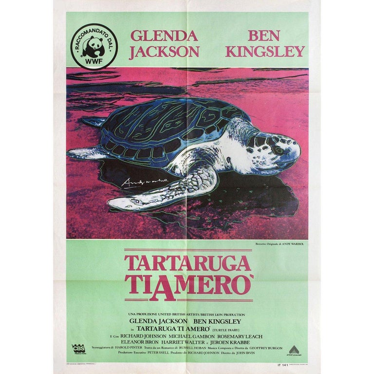 Turtle Diary 1985 Italian Due Fogli Film Poster at 1stDibs | turtle ...
