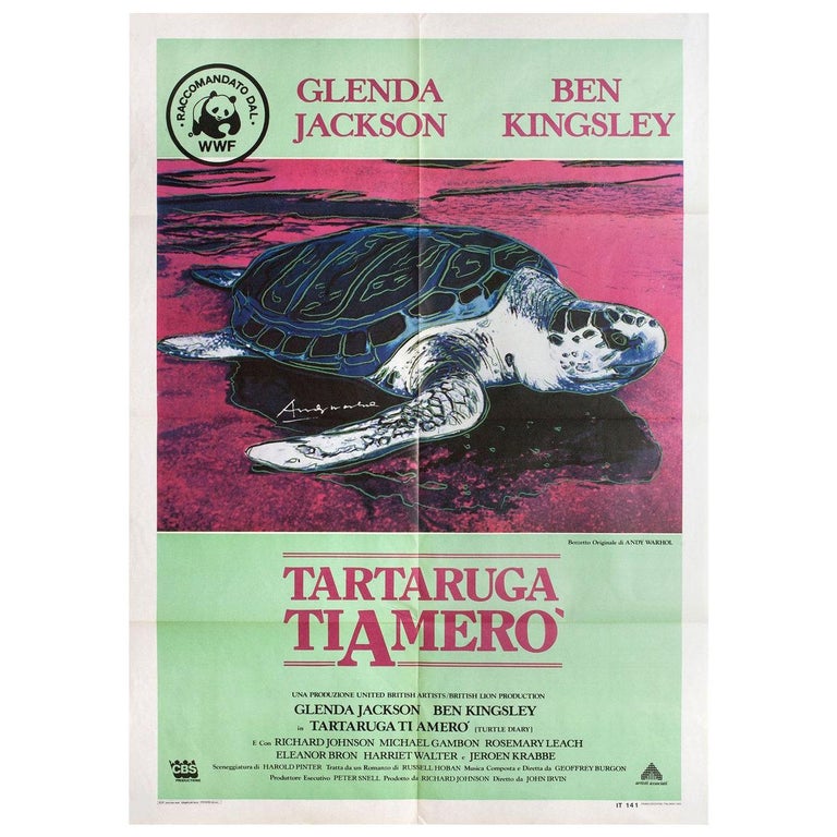 Turtle Diary 1985 Italian Due Fogli Film Poster at 1stDibs | turtle ...