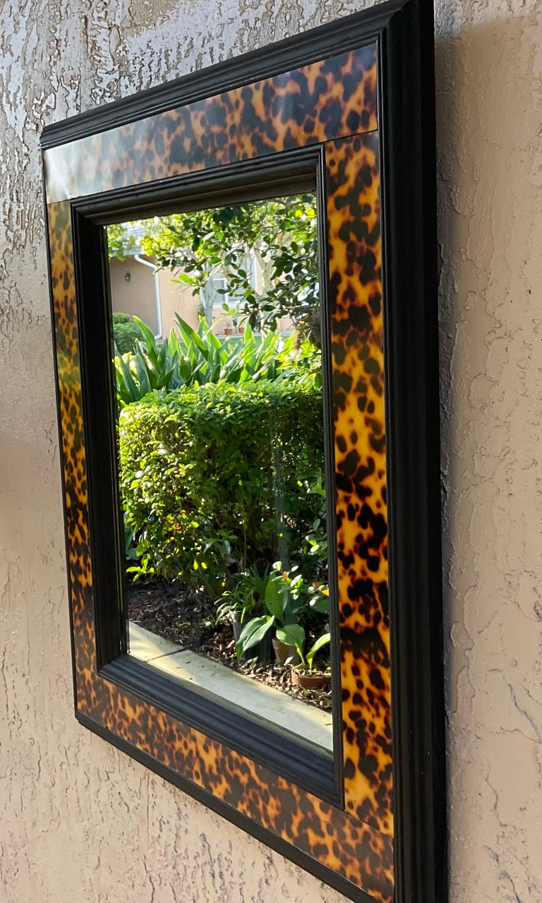 Turtle Shell Lucite Faux Framed Turtle Mirror For Sale at 1stDibs