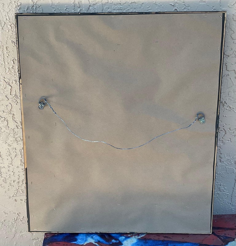 Turtle Shell Lucite Faux Framed Turtle Mirror For Sale at 1stDibs