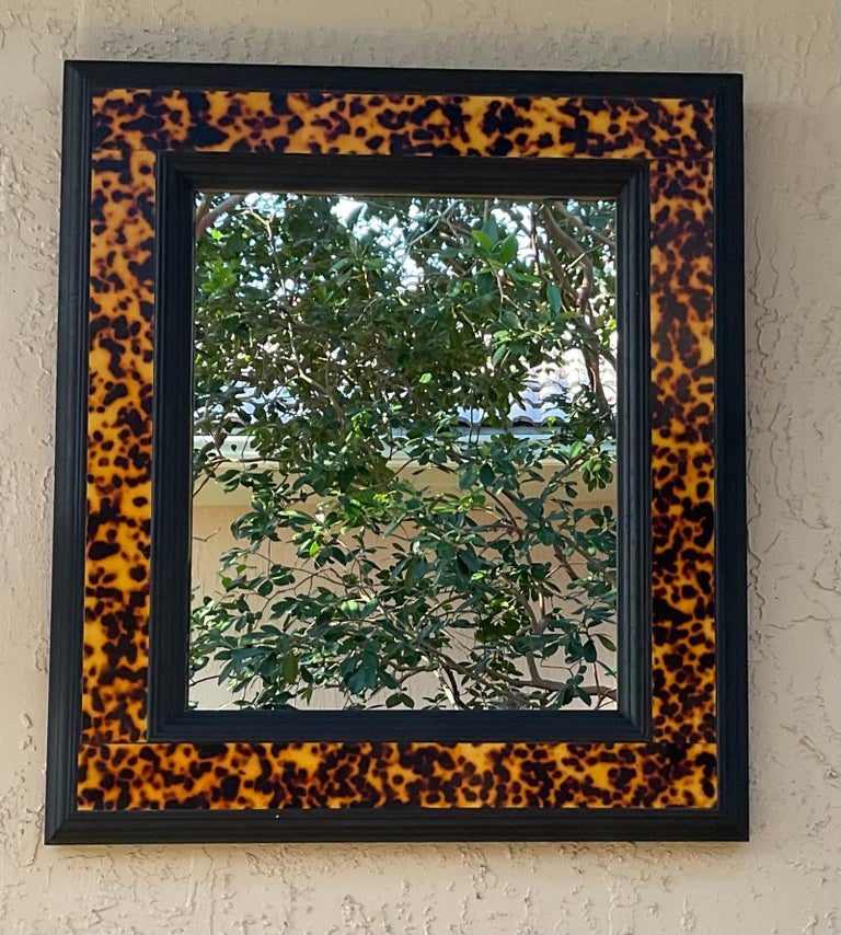 Turtle Shell Lucite Faux Framed Turtle Mirror For Sale at 1stDibs