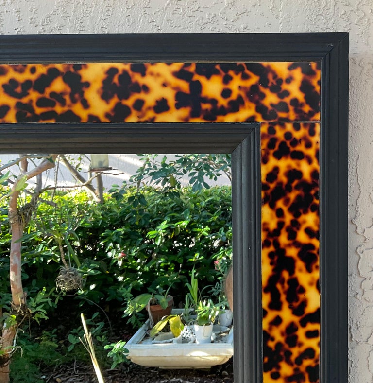 Turtle Shell Lucite Faux Framed Turtle Mirror For Sale at 1stDibs