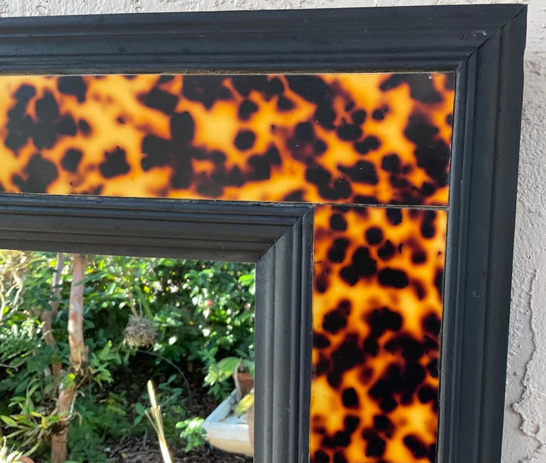 Turtle Shell Lucite Faux Framed Turtle Mirror For Sale at 1stDibs