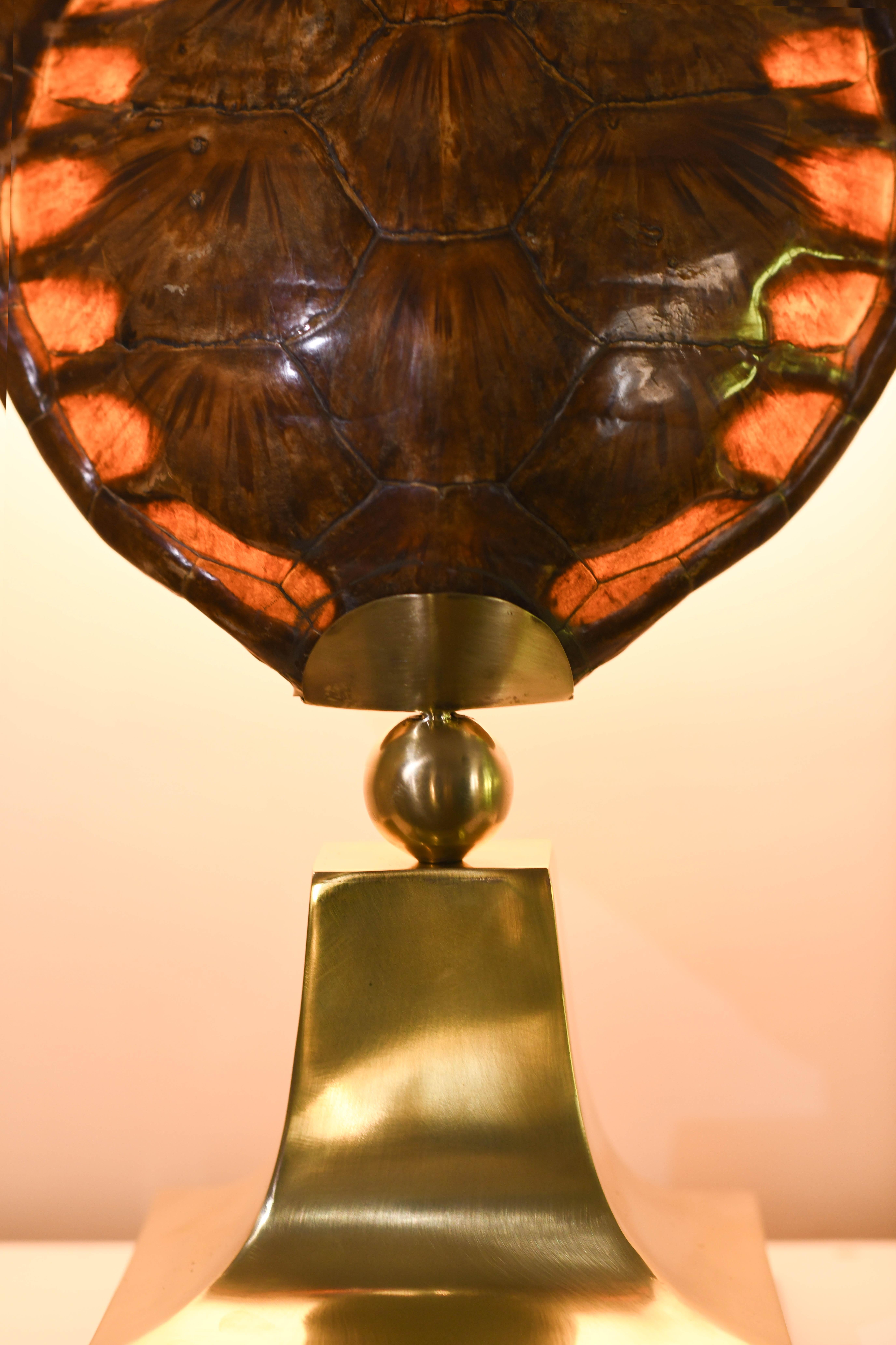 Turtle table lamp with brass base, 1970s For Sale at 1stDibs