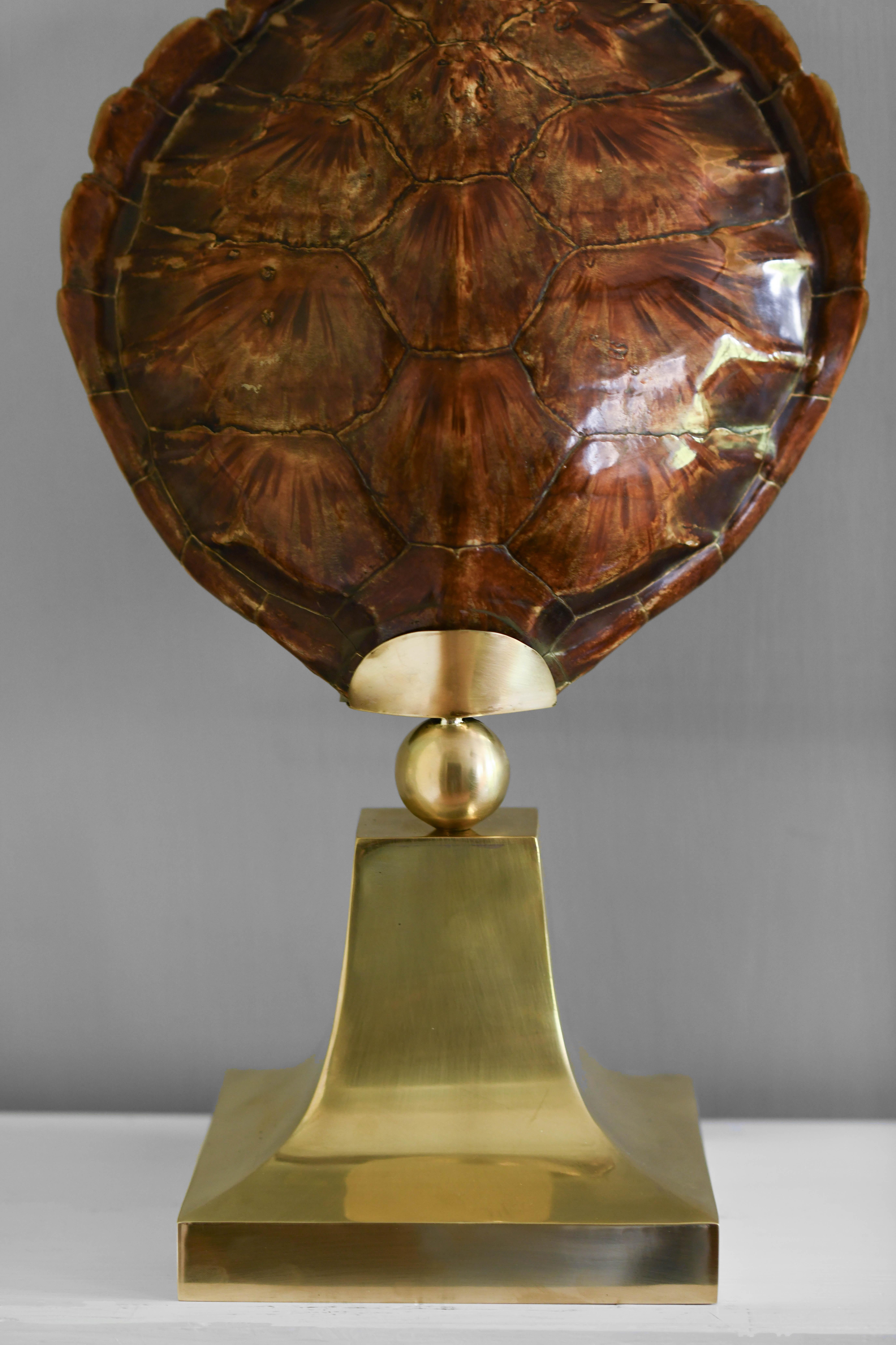 Turtle table lamp with brass base, 1970s For Sale at 1stDibs