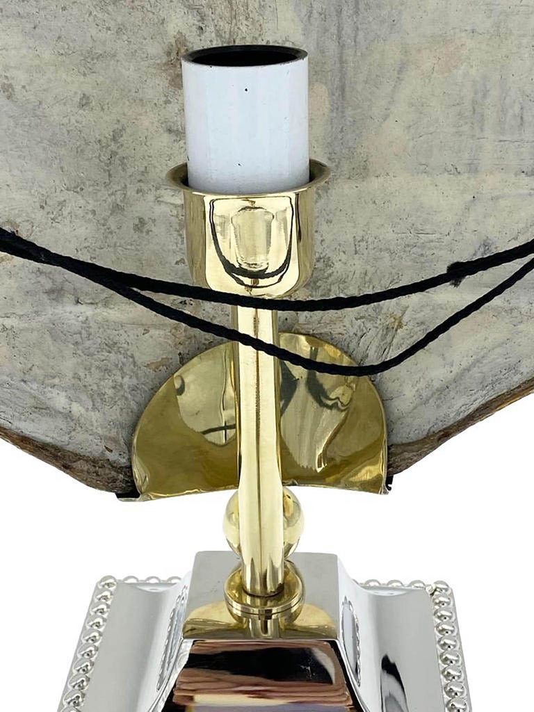 Turtle Tortoise Shell Table Lamp, Italy 1970s For Sale at 1stDibs