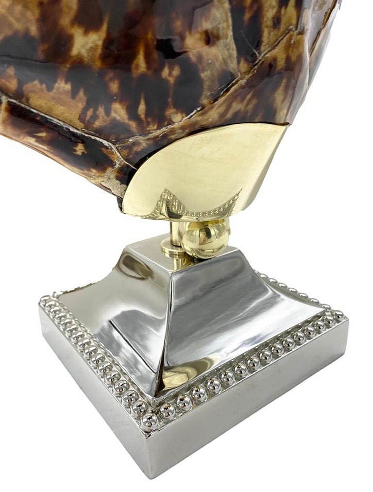 Turtle Tortoise Shell Table Lamp, Italy 1970s For Sale at 1stDibs