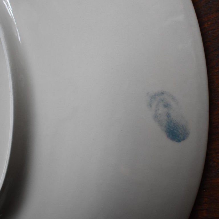 Turtle traffic by Tom Rooth For Sale at 1stDibs