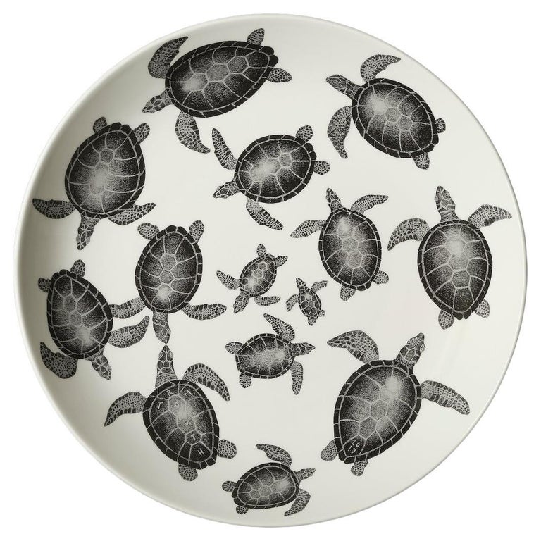Turtle traffic by Tom Rooth For Sale at 1stDibs