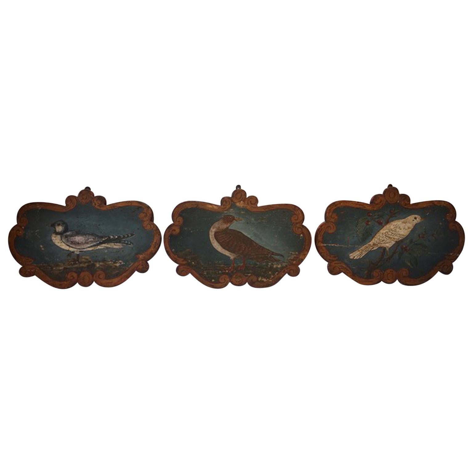 Italy Late 18th Century Set 3 Wooden Birds Painted Panels Boards at 1stDibs