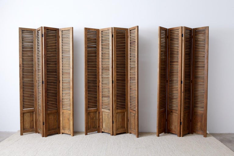 Twelve-Panel Pine Louvered Shutter Folding Screen at 1stDibs | louvered ...
