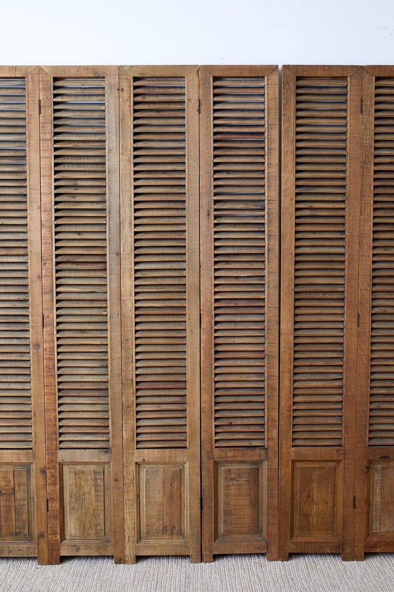 Twelve-Panel Pine Louvered Shutter Folding Screen at 1stDibs | louvered ...