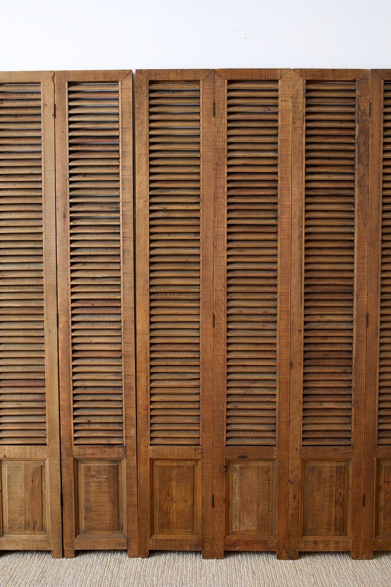 Twelve-Panel Pine Louvered Shutter Folding Screen at 1stDibs | louvered ...