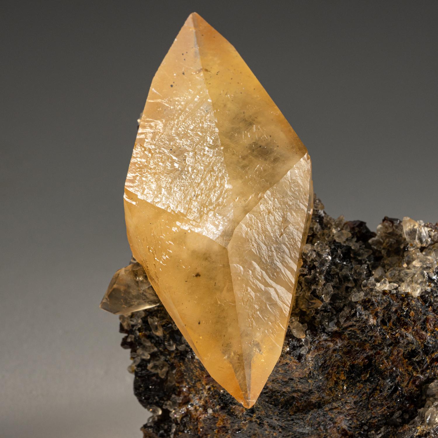 Twinned Golden Calcite Crystal from Elmwood Mine, Tennessee (211.4 ...