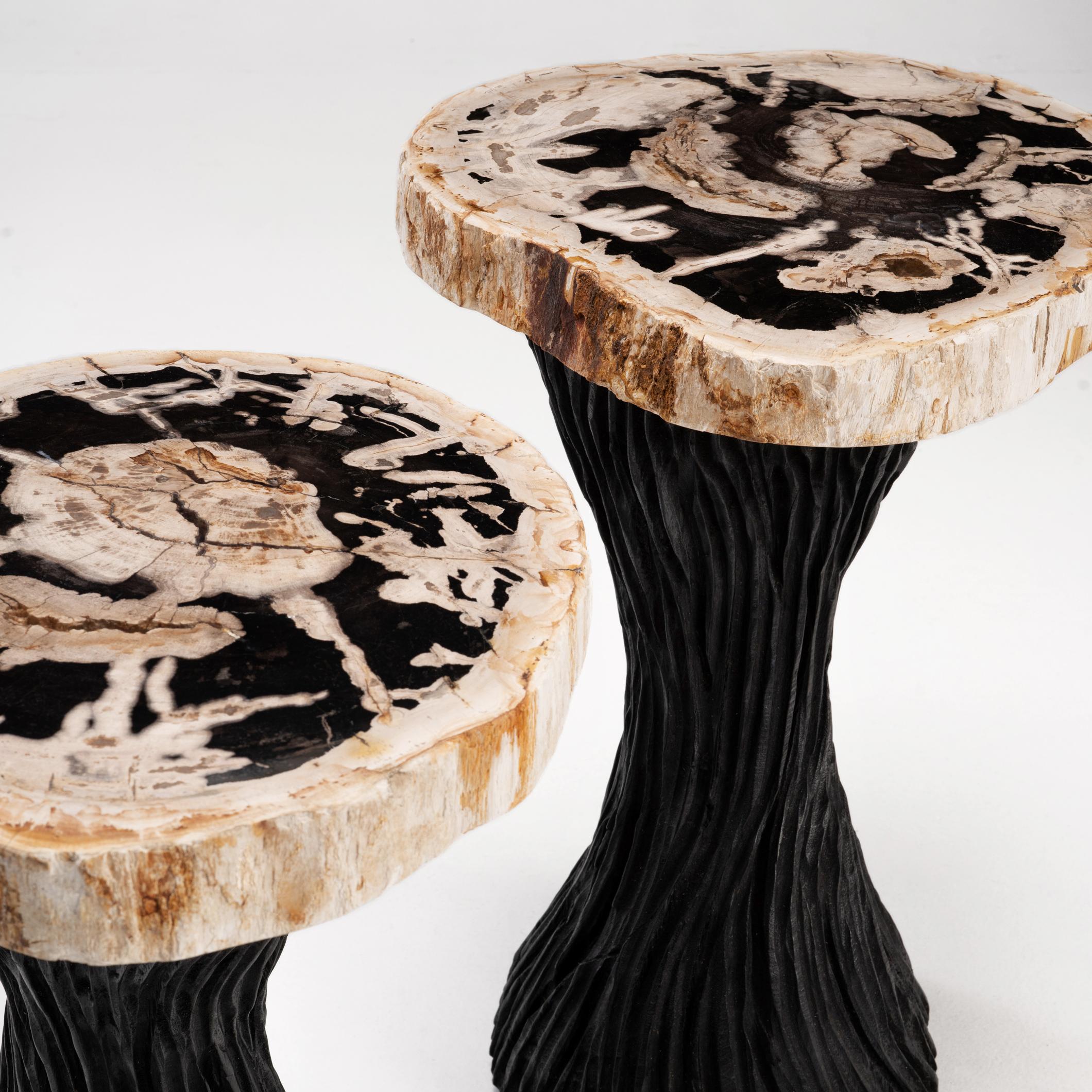 Twisted Fantasy • Pair • Petrified Wood Sculptural Side Tables by ...