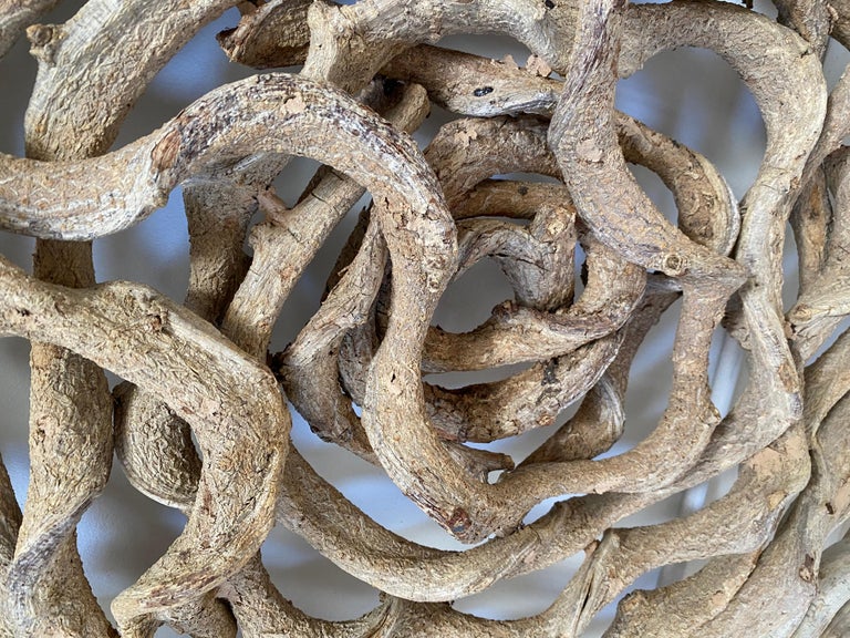 Twisted Liana Vine Wall Art at 1stDibs